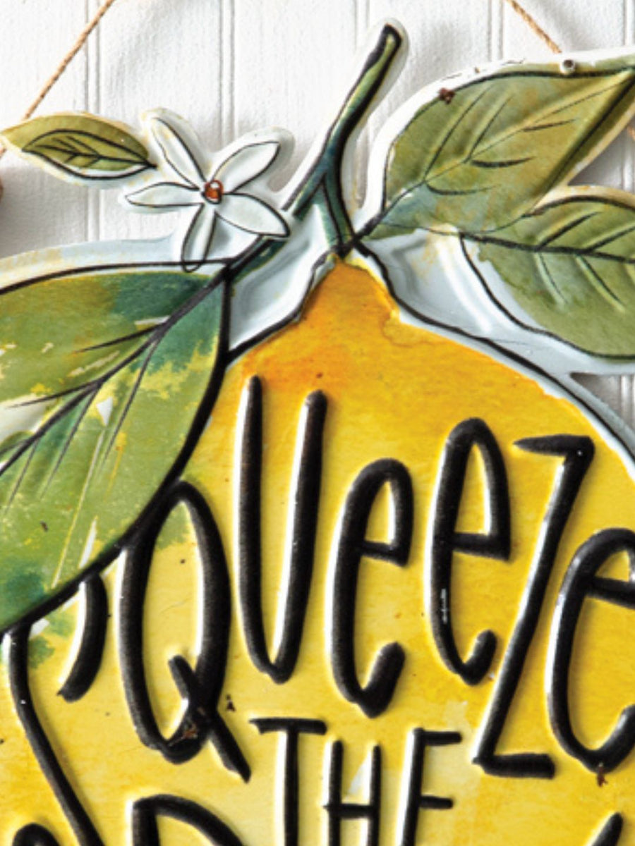 Squeeze the Day Wall Sign – The Home Emporium