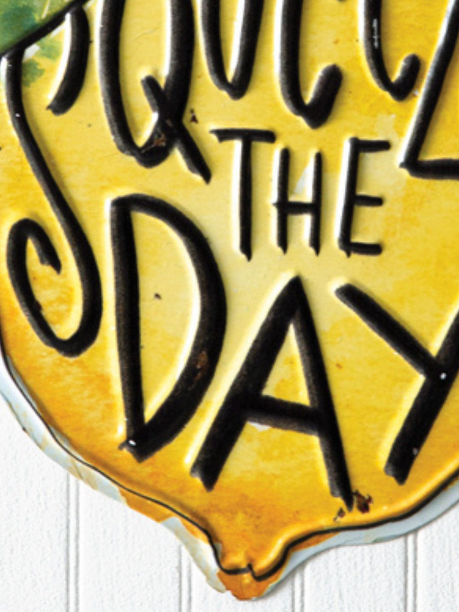 Squeeze the Day Wall Sign – The Home Emporium
